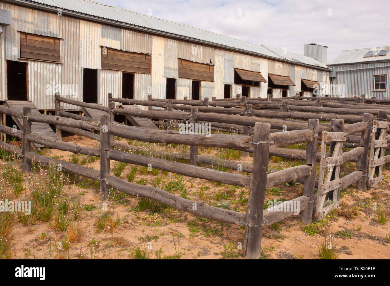 Sheep Shed