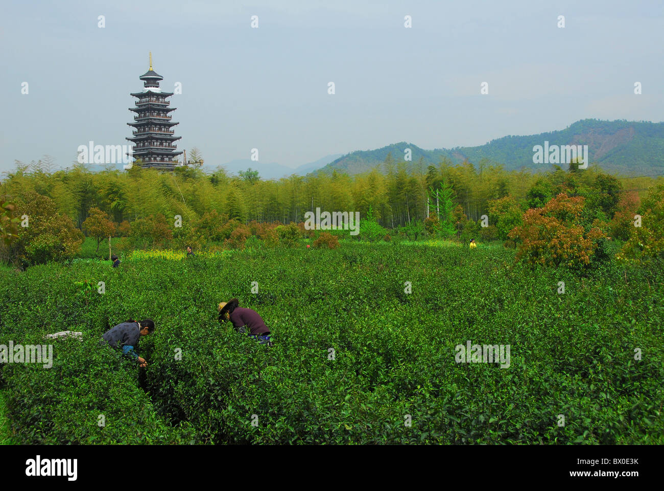 Traditional architectre hi-res stock photography and images - Alamy