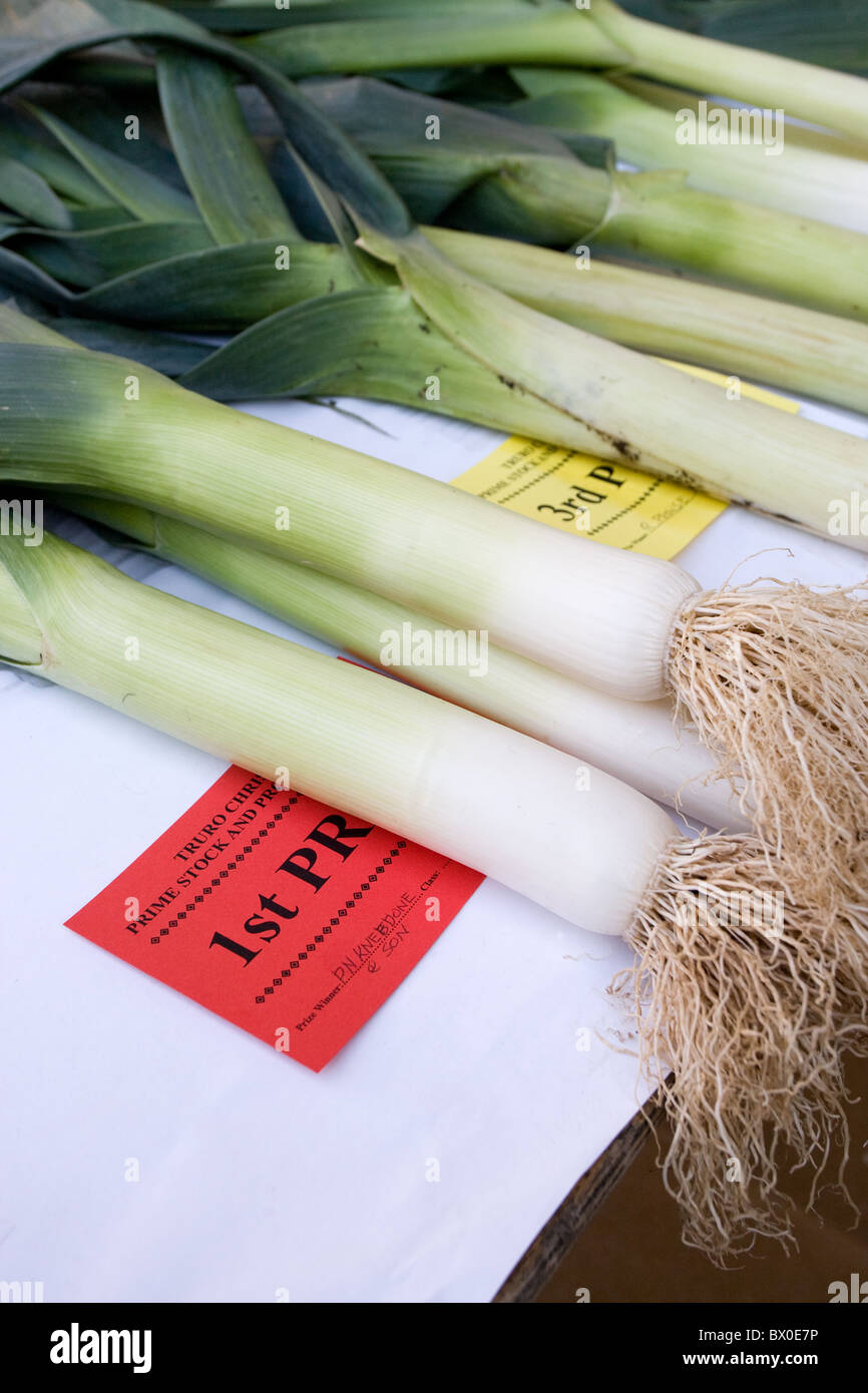 Show leeks hi-res stock photography and images - Alamy