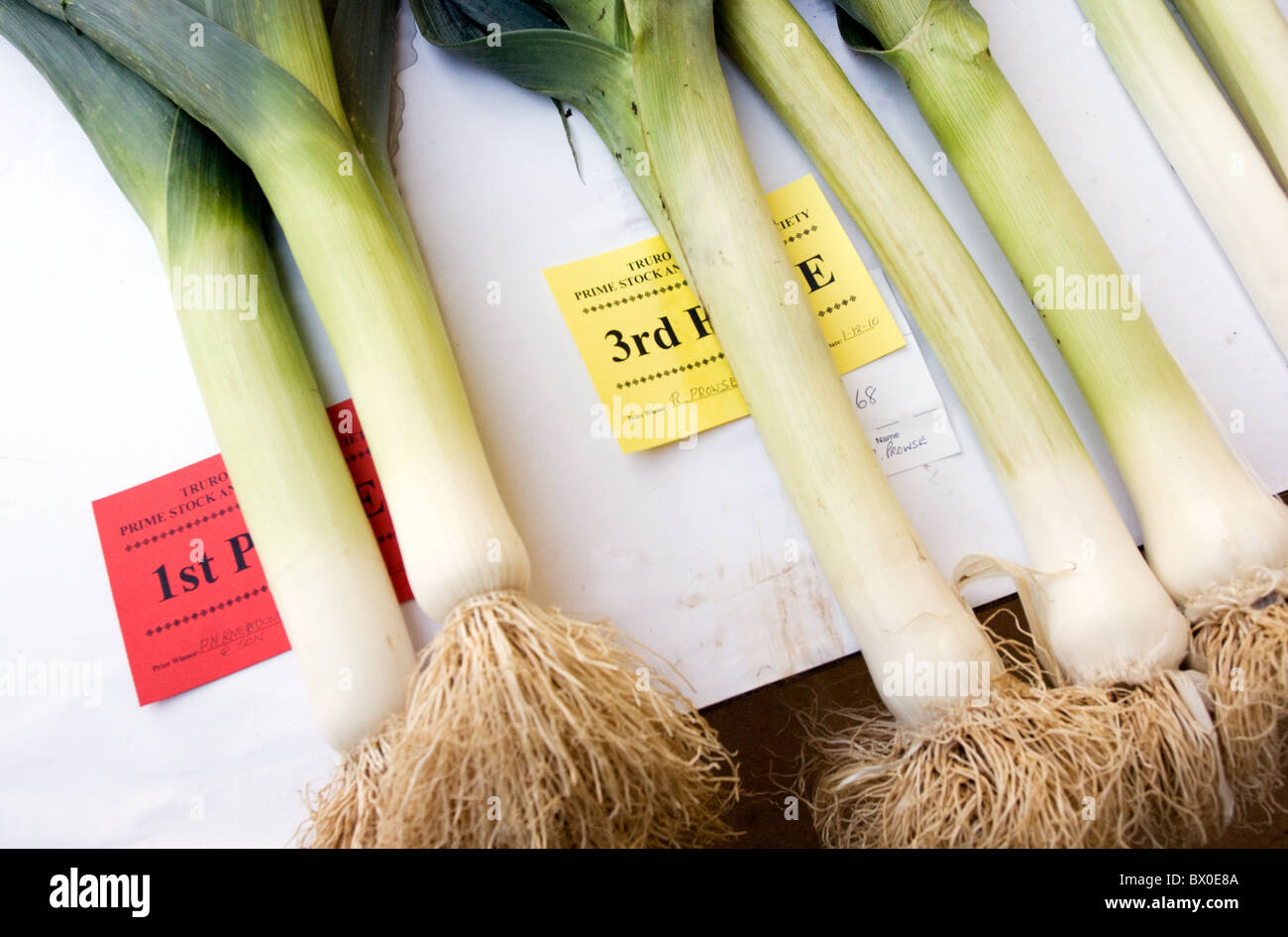 Show leeks hi-res stock photography and images - Alamy