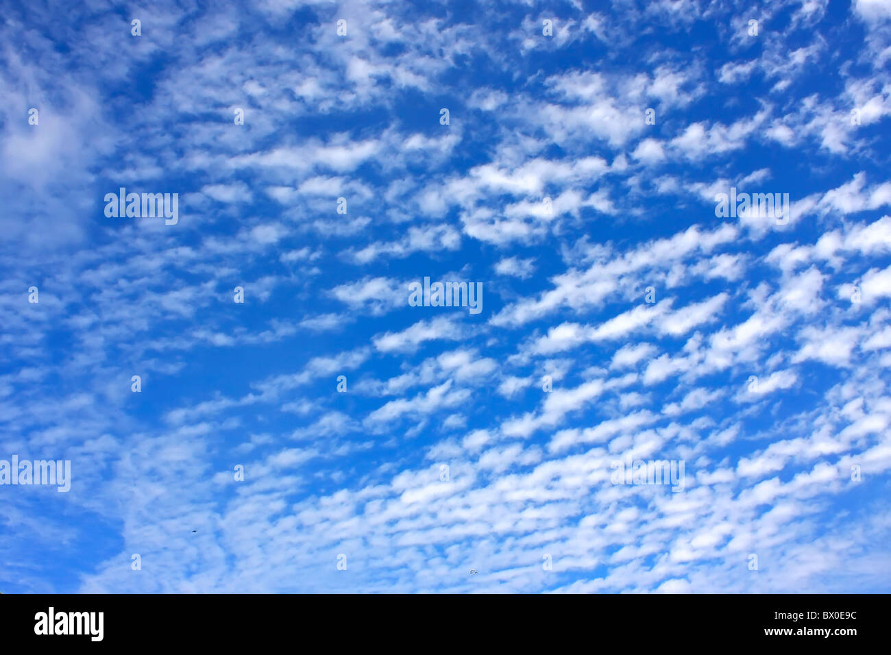 A blue sky Stock Photo - Alamy