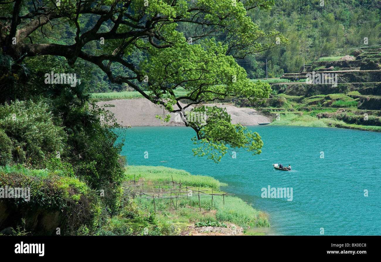 Peacefultree hi-res stock photography and images - Alamy