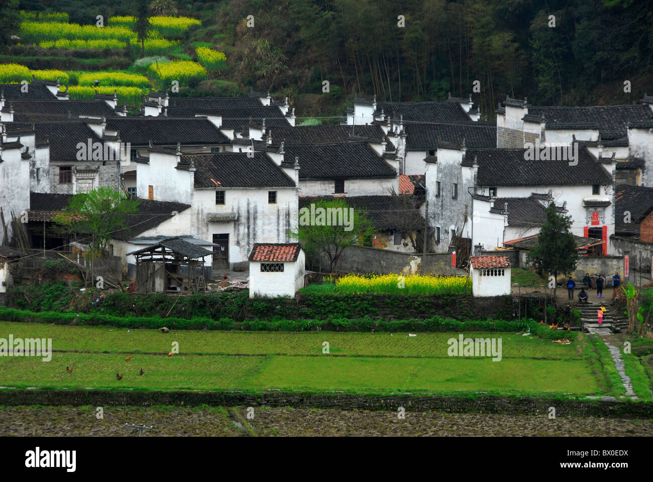 Traditional Hui style homes, Wuyuan, Jiangxi Province, China Stock ...