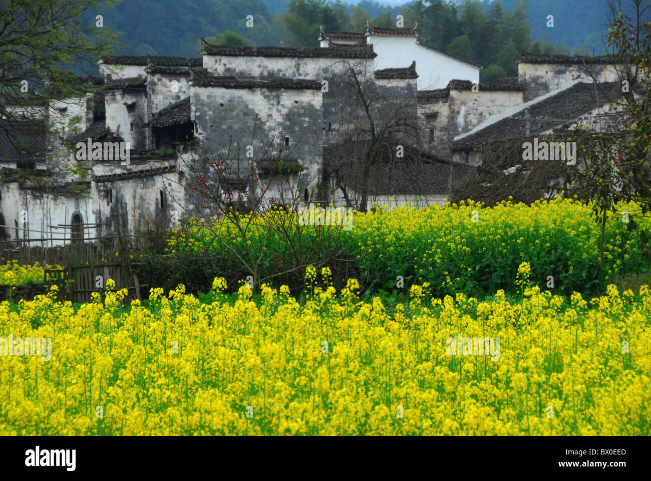 Traditional Hui style homes, Wuyuan, Jiangxi Province, China Stock ...