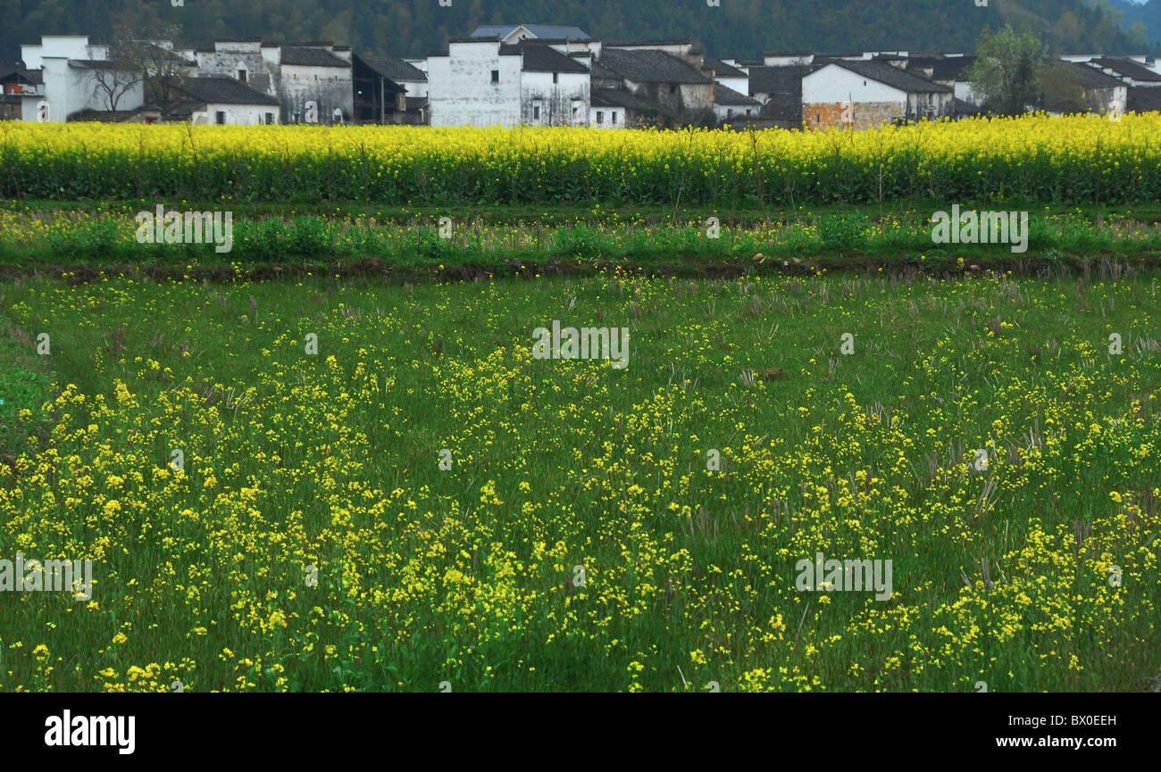 Traditional Hui style homes, Wuyuan, Jiangxi Province, China Stock ...