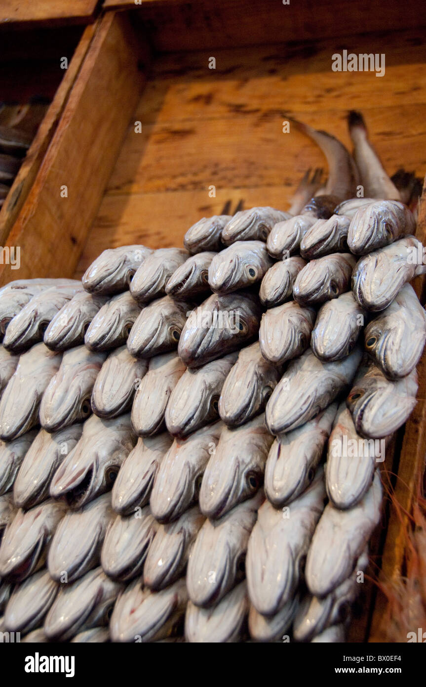 Africa, Morocco, Casablanca. Central market (aka Olive Market), fresh ...