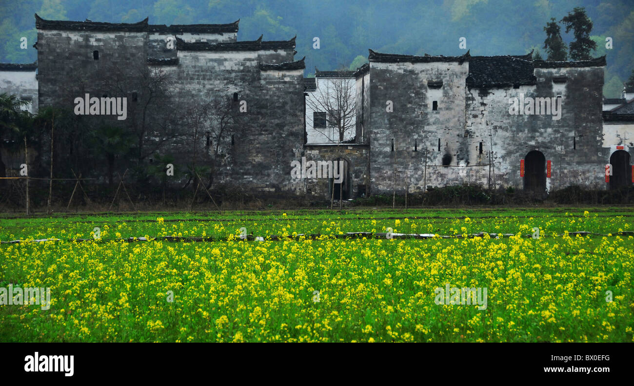 Traditional Hui style homes, Wuyuan, Jiangxi Province, China Stock ...