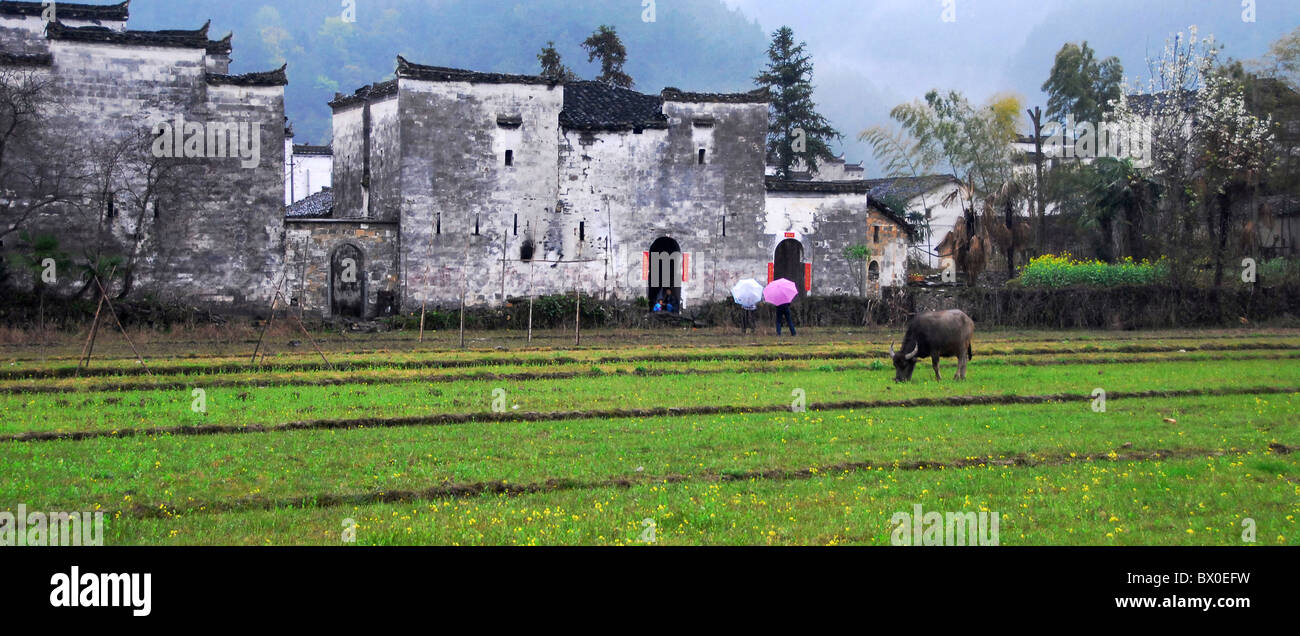 Traditional Hui style homes, Wuyuan, Jiangxi Province, China Stock ...