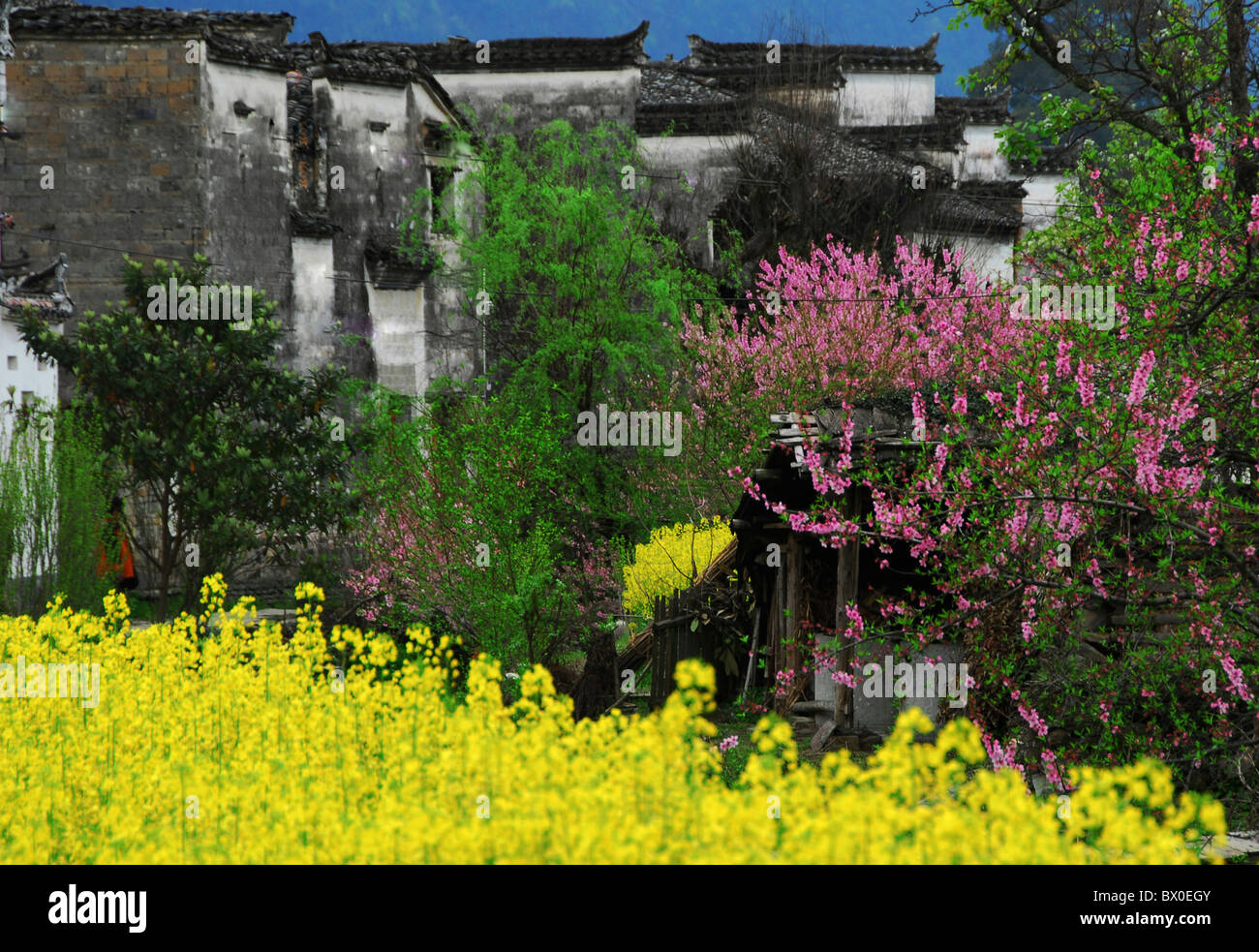 Traditional Hui style homes, Wuyuan, Jiangxi Province, China Stock ...