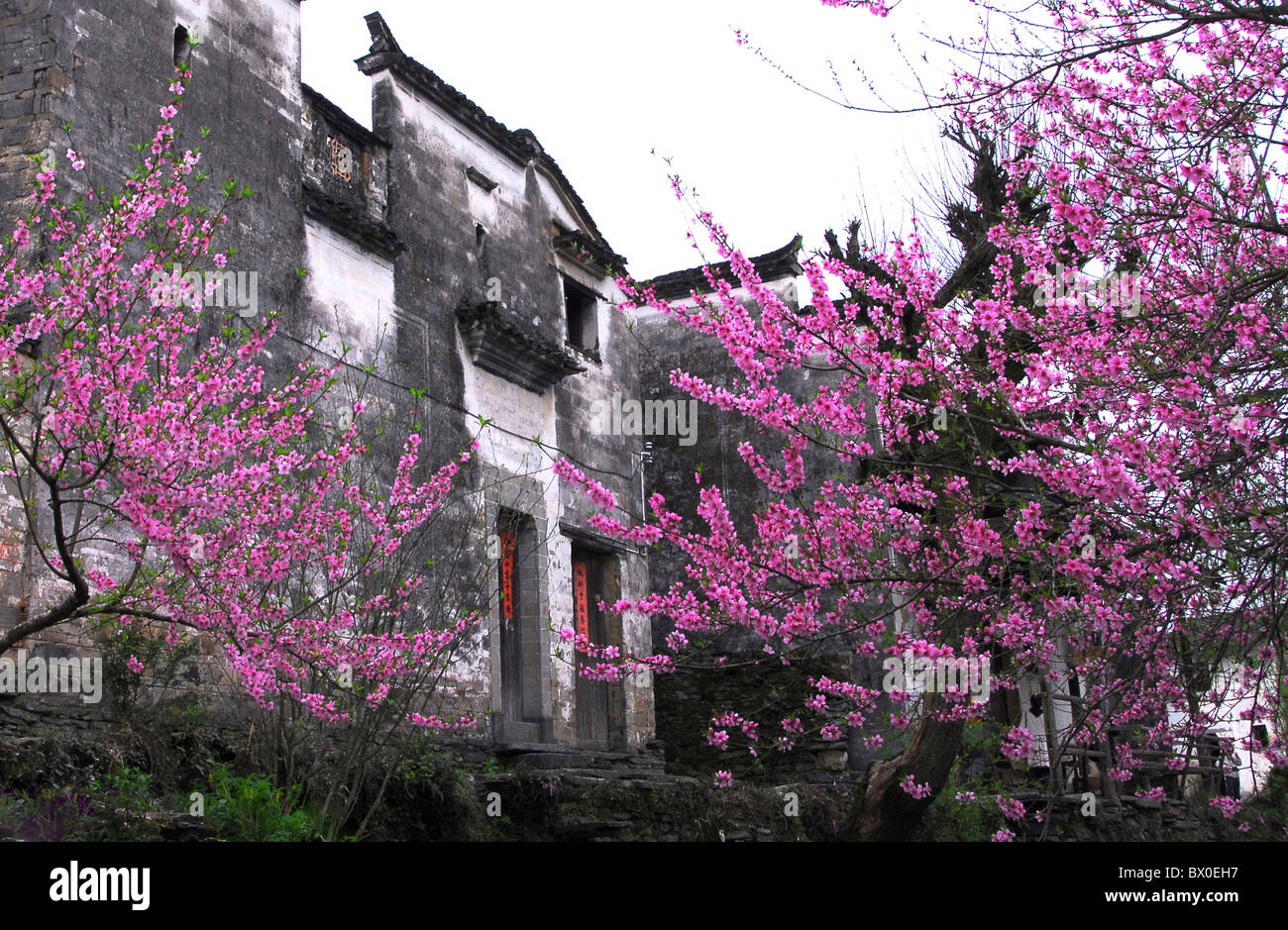 Traditional Hui style homes, Wuyuan, Jiangxi Province, China Stock ...