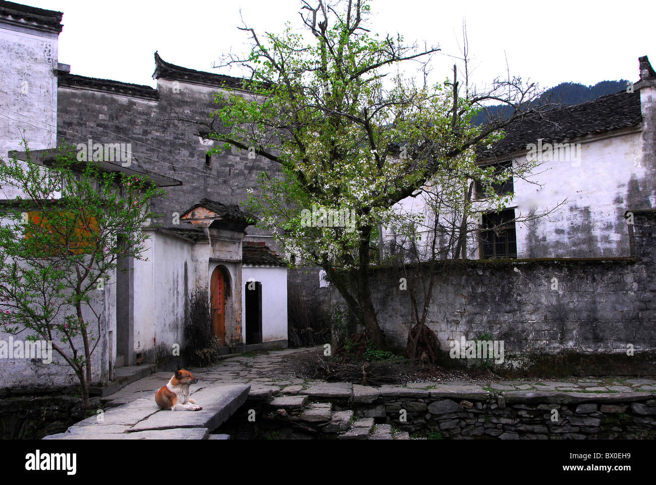 Traditional Hui style homes, Wuyuan, Jiangxi Province, China Stock ...