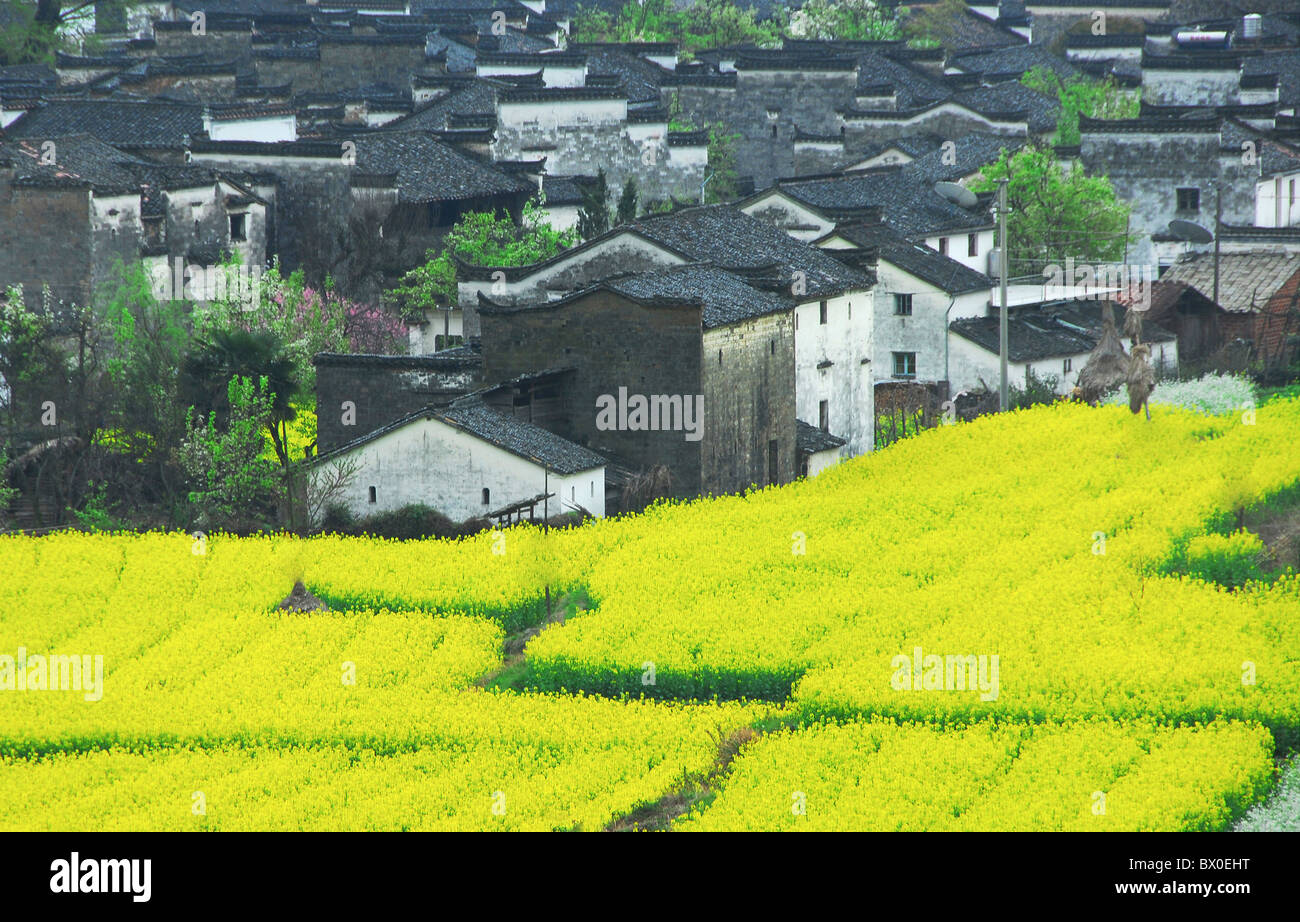 Traditional Hui style homes, Wuyuan, Jiangxi Province, China Stock ...