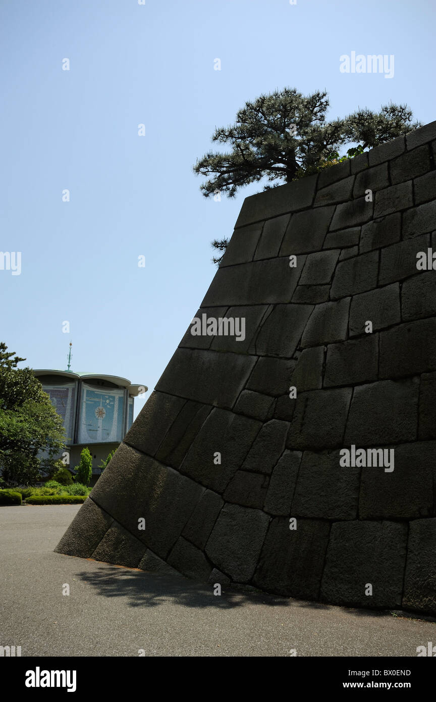 Pine trees casting shadows hi-res stock photography and images - Alamy