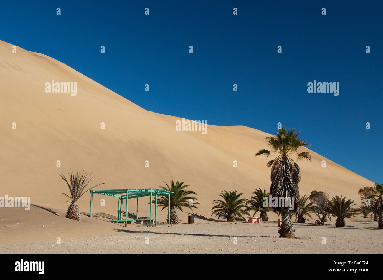 Africa, Namibia, Walvis Bay, Namib Desert. Coastal sand dunes between ...