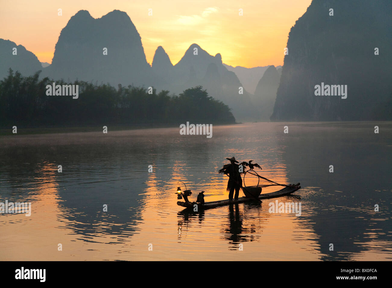 Chinese fisherman on bamboo raft fishing with cormorants at sunset on ...