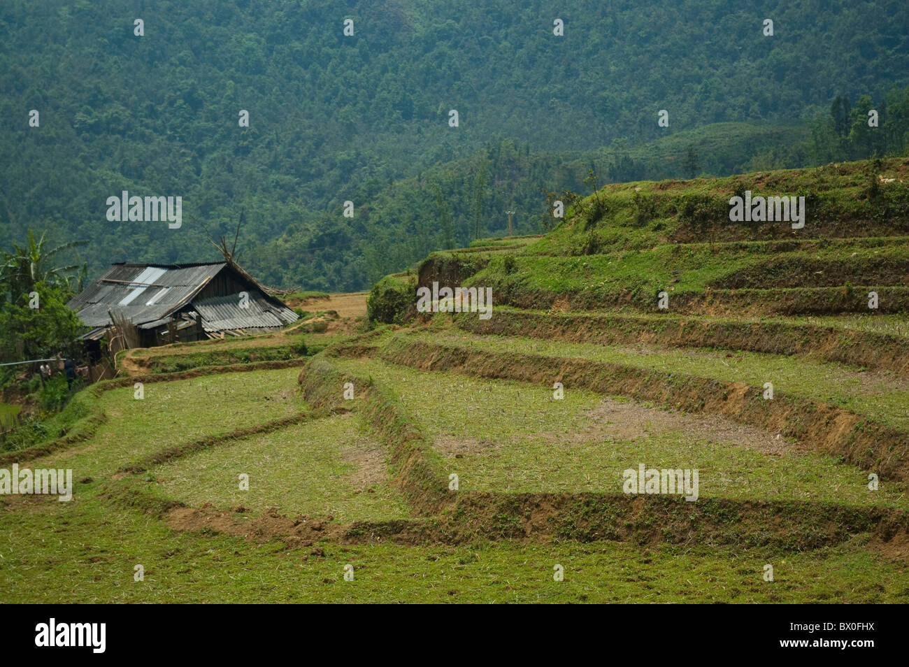 Longsheng various nationalities autonomous county hi-res stock ...