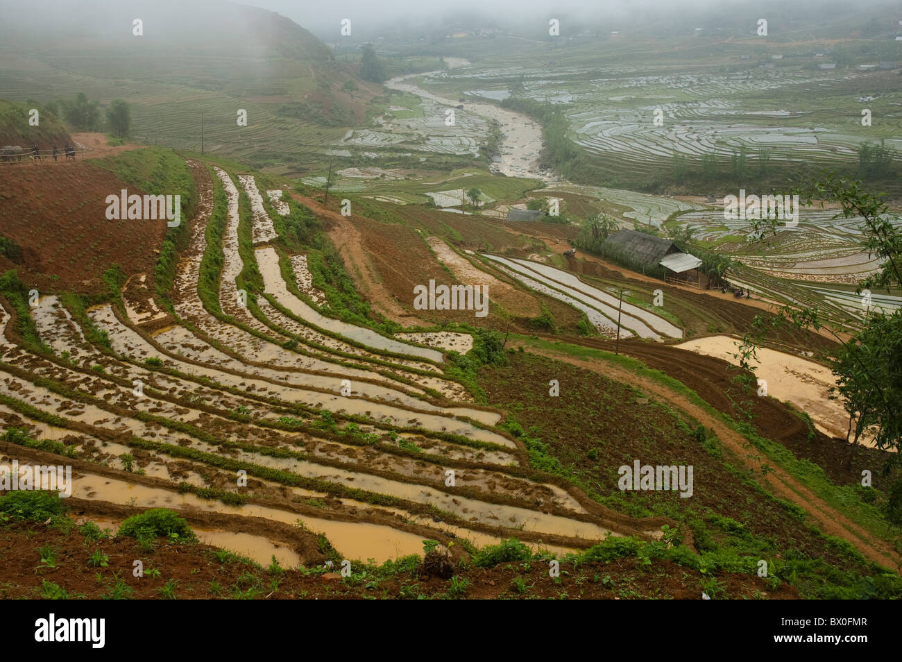 Dramatic Longji Terraced Field, Longsheng Various Nationalities ...