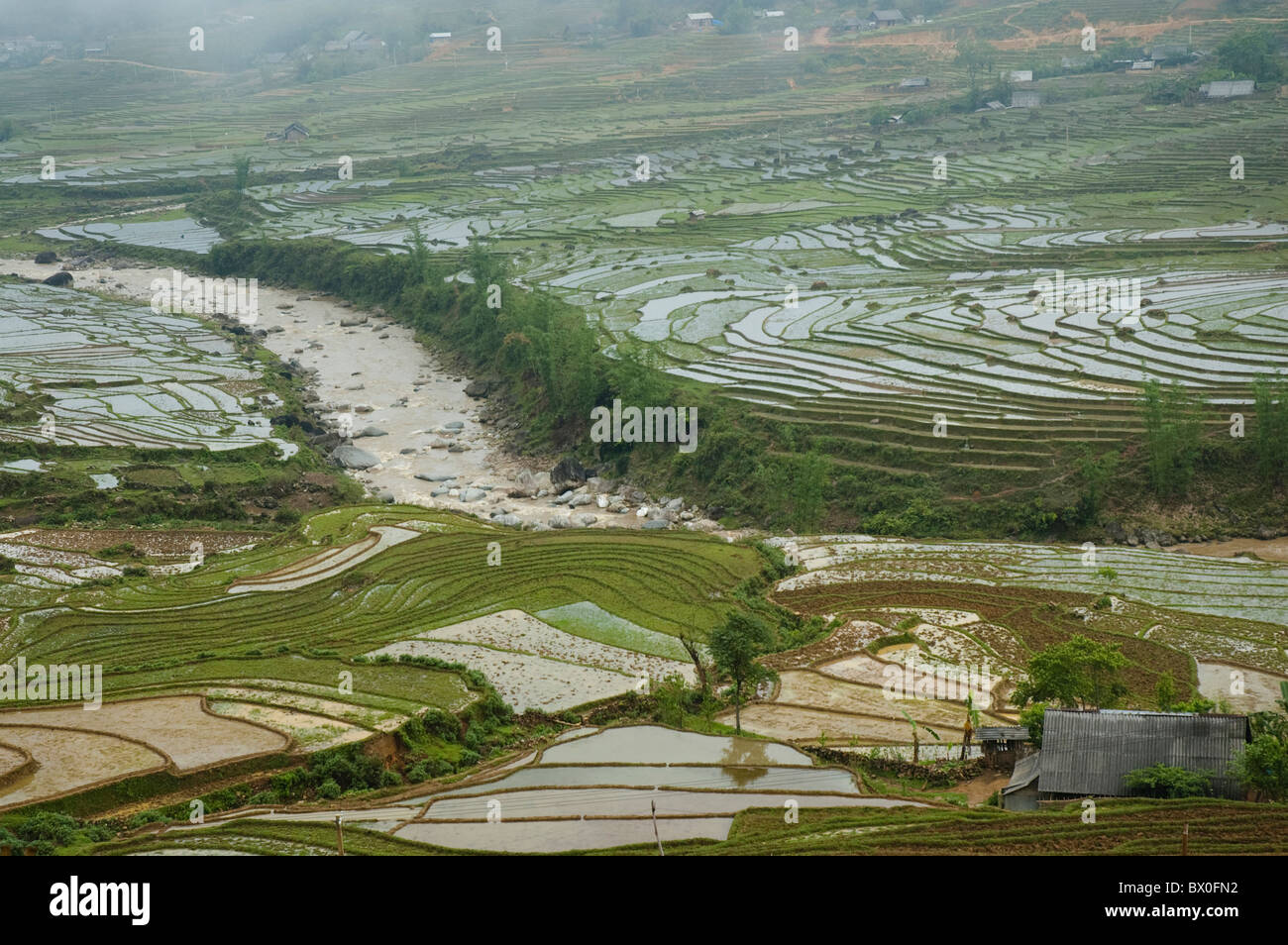 Dramatic Longji Terraced Field, Longsheng Various Nationalities ...