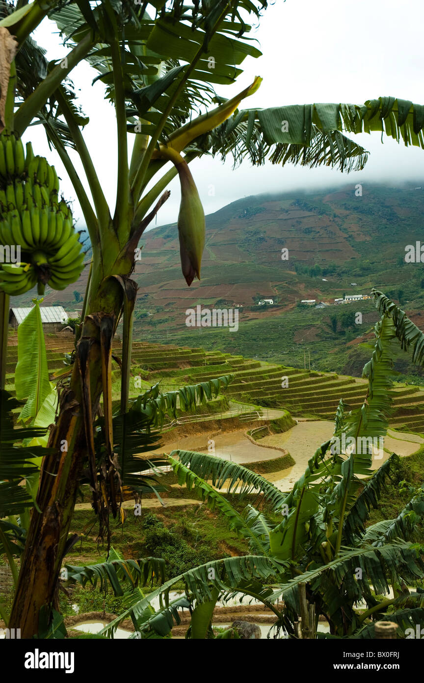 Longsheng Various Nationalities Autonomous County High Resolution Stock ...