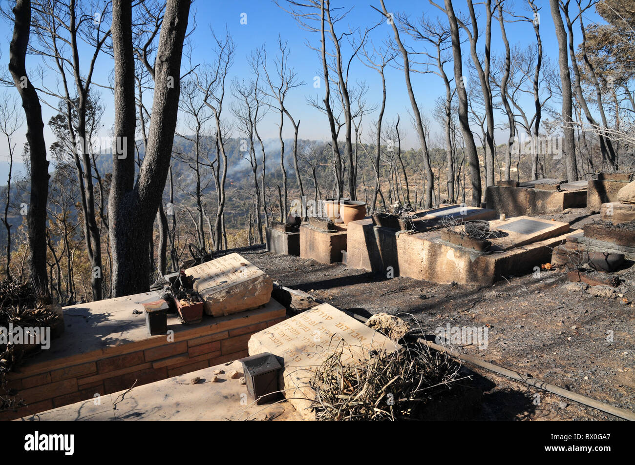 Oren mount carmel hi-res stock photography and images - Alamy