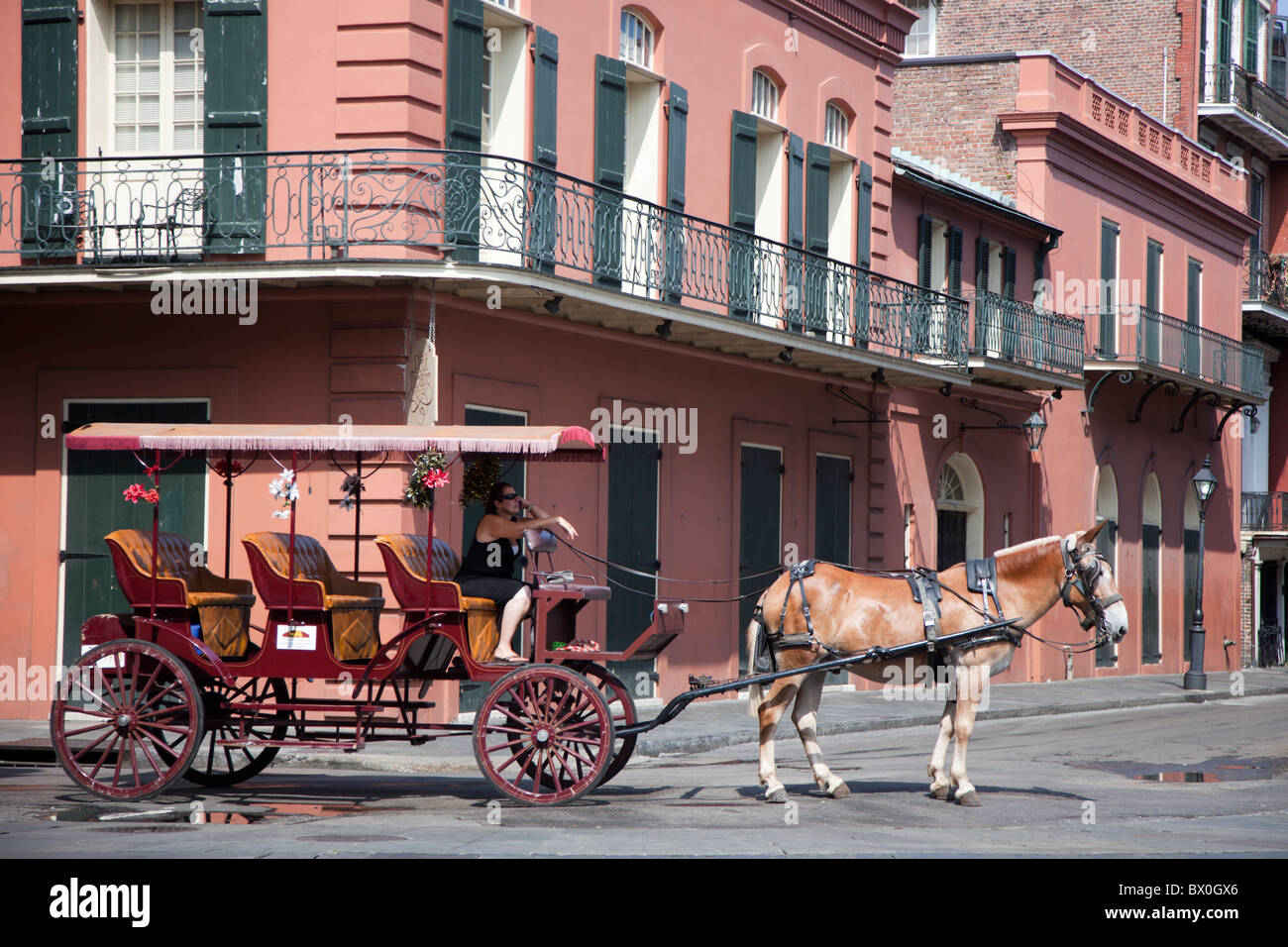 New orleans french quarter carriage hi-res stock photography and images ...