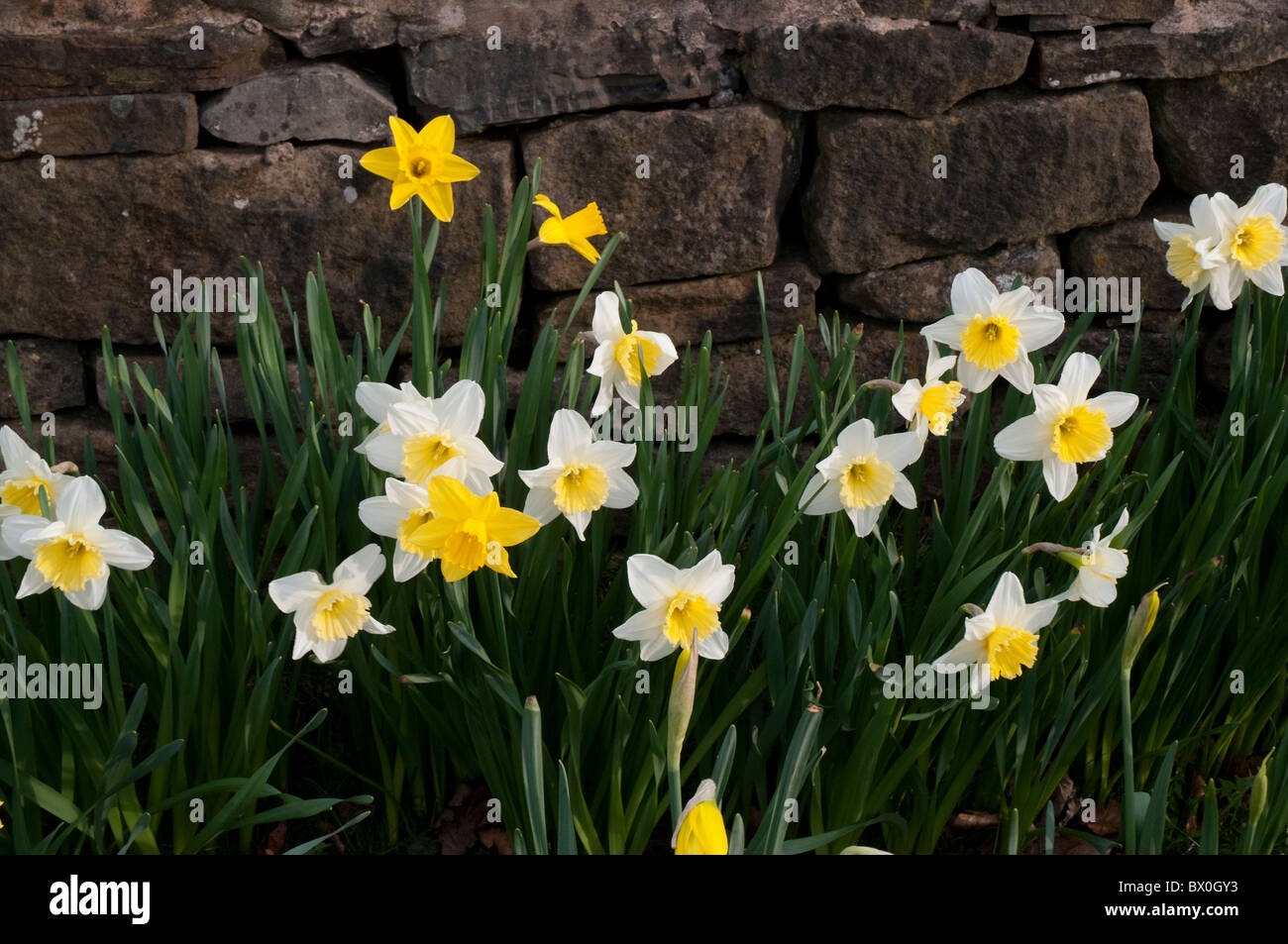 Higham lancashire hi-res stock photography and images - Alamy