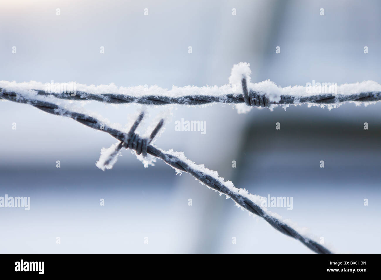 Barbed needle hi-res stock photography and images - Alamy
