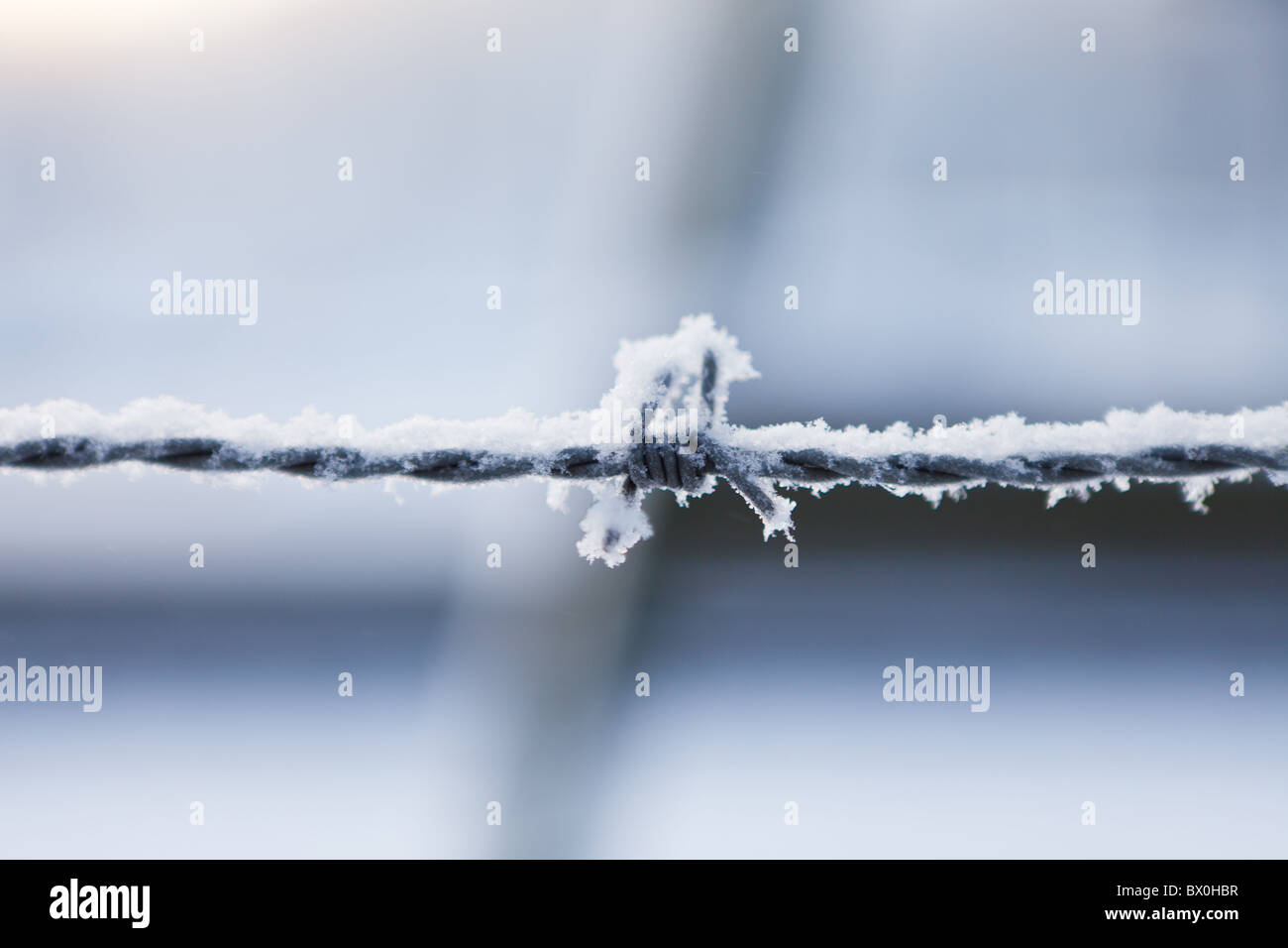 Barbed needle hi-res stock photography and images - Alamy