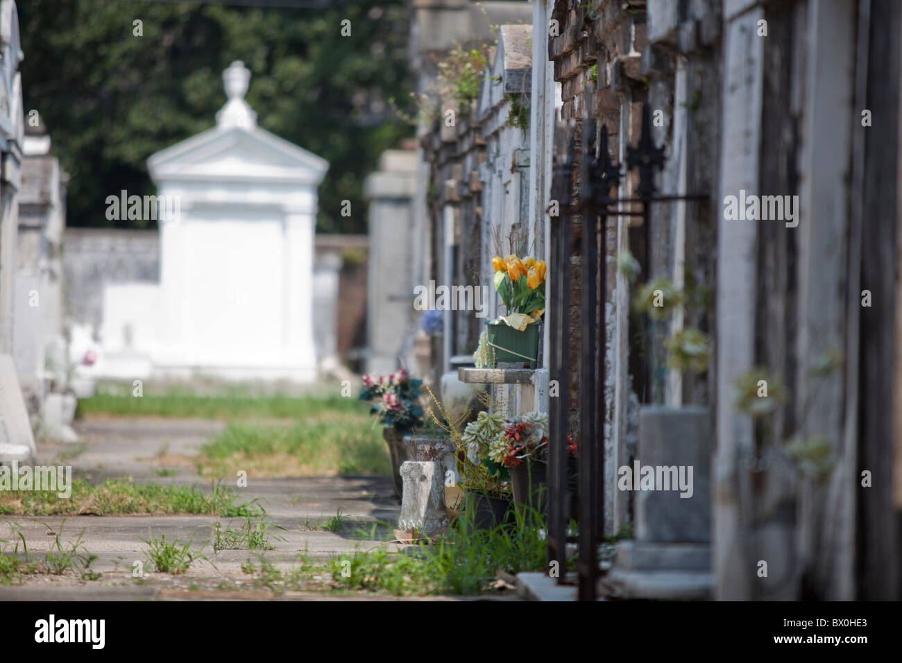 Lafayette Cemetery #1 is one of many above-ground cemeteries ("cities ...