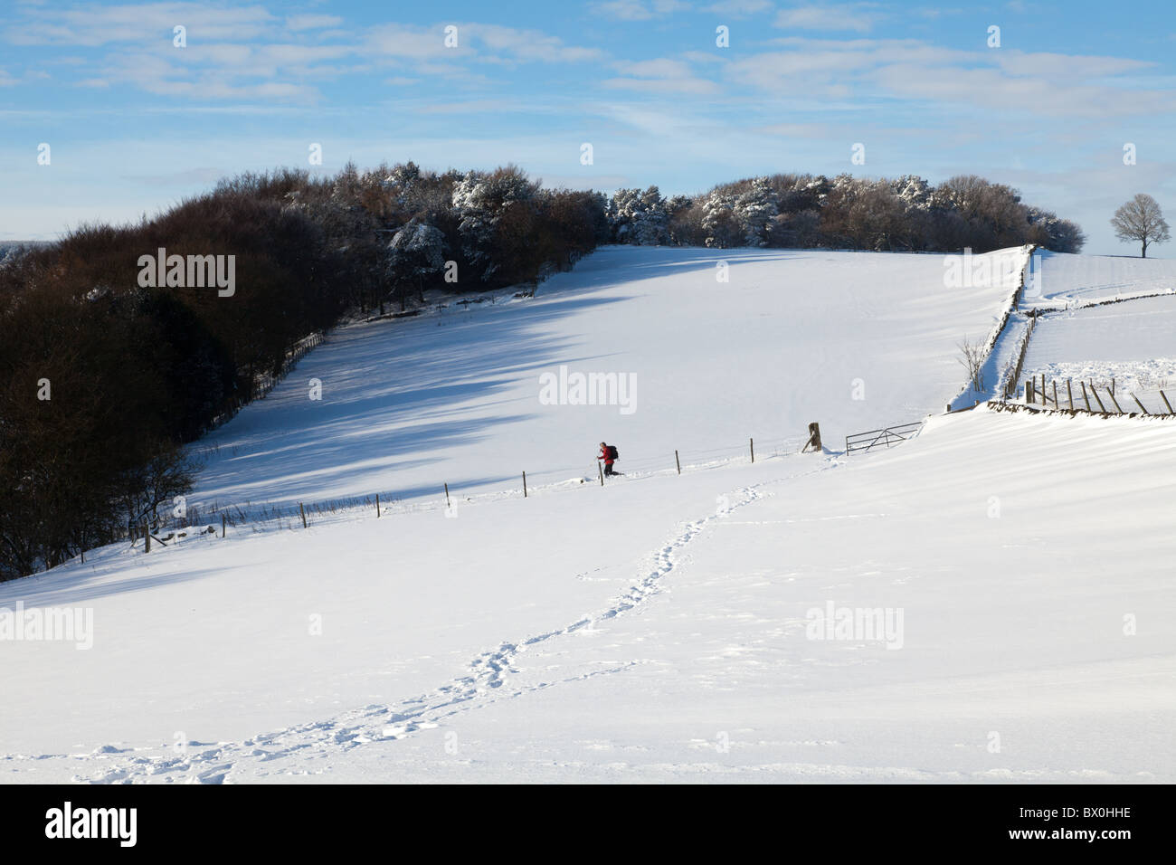 Snowy fields at Whirlow Hall Farm in Sheffield Stock Photo - Alamy