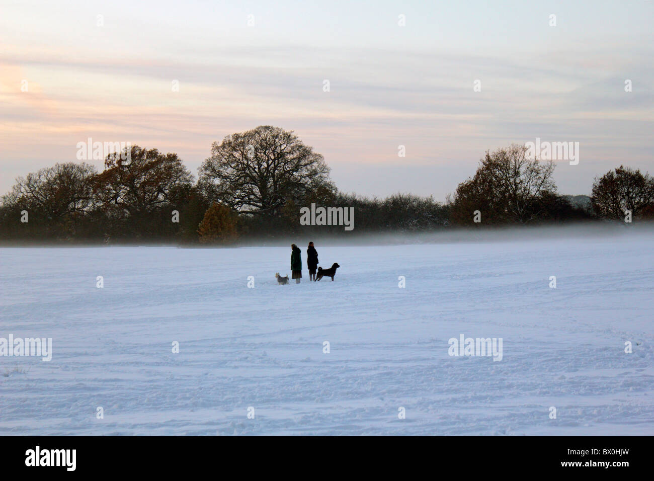 Snow scene at Tolworth Court Farm Fields, Surrey England UK Stock Photo ...