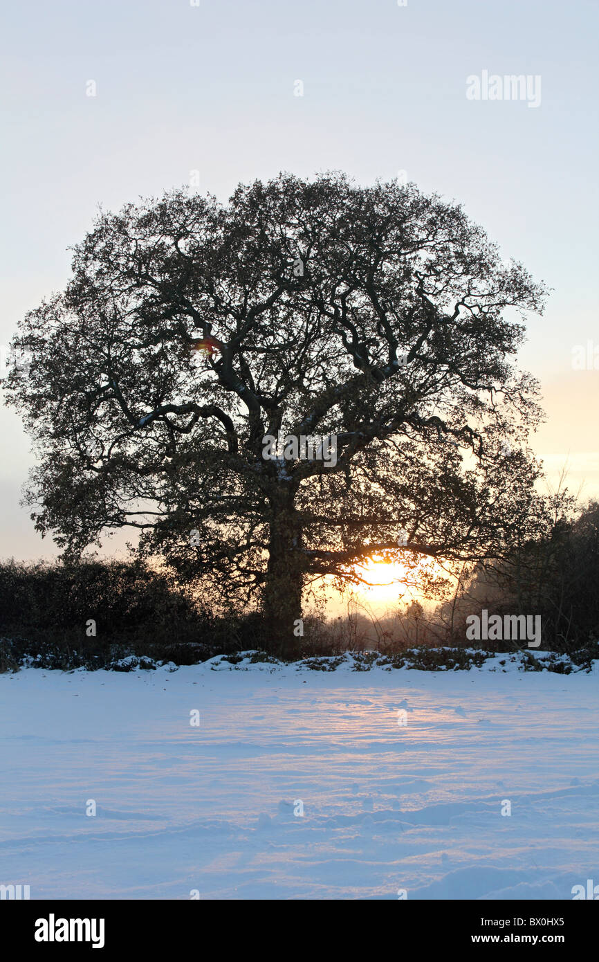 English snow scene at dusk hi-res stock photography and images - Alamy