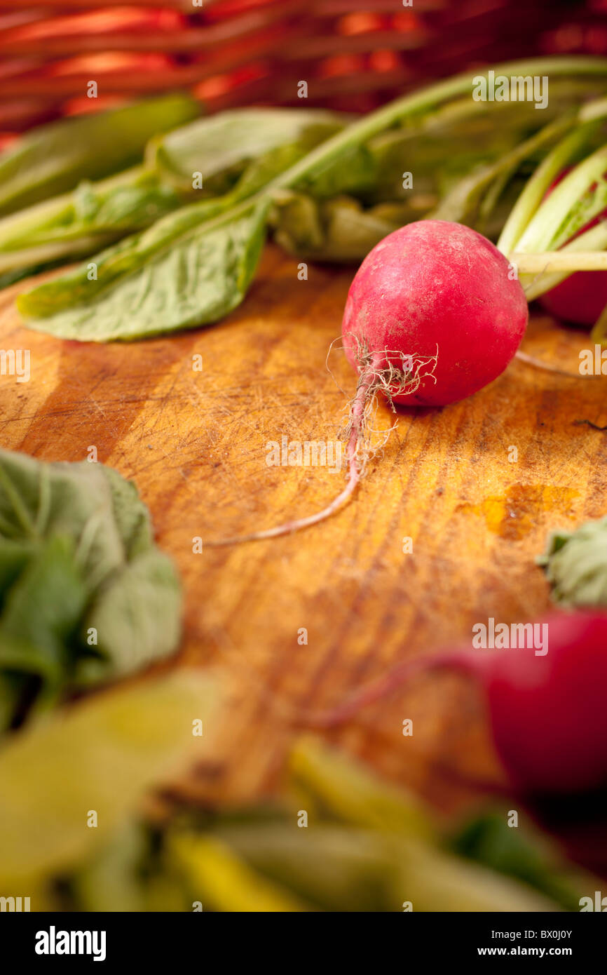 Food still life with radish hi-res stock photography and images - Alamy