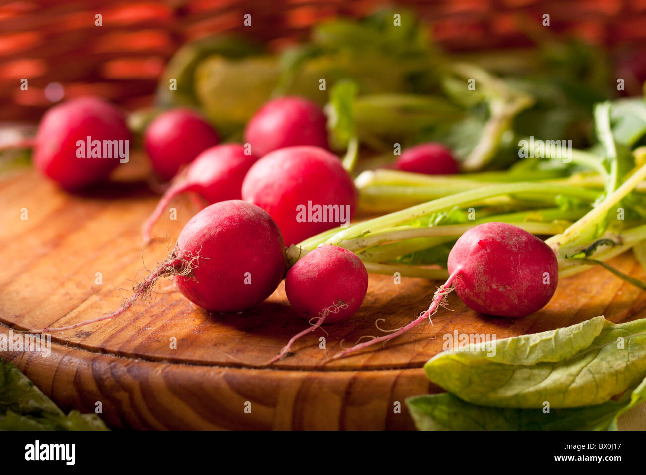 Radish wood hi-res stock photography and images - Alamy