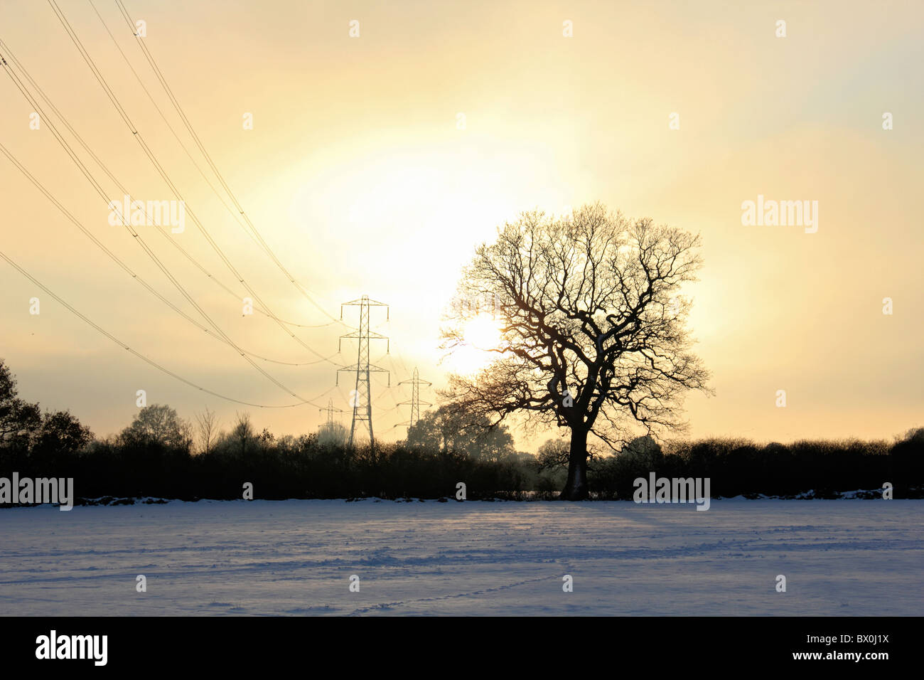 Snow scene at Tolworth Court Farm Fields, Surrey England UK Stock Photo ...