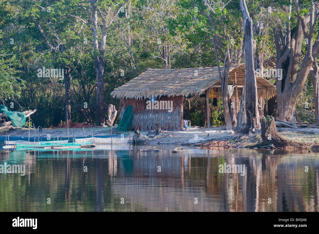 The river people near Barcelos catch tropical fish along Brazil's Rio ...