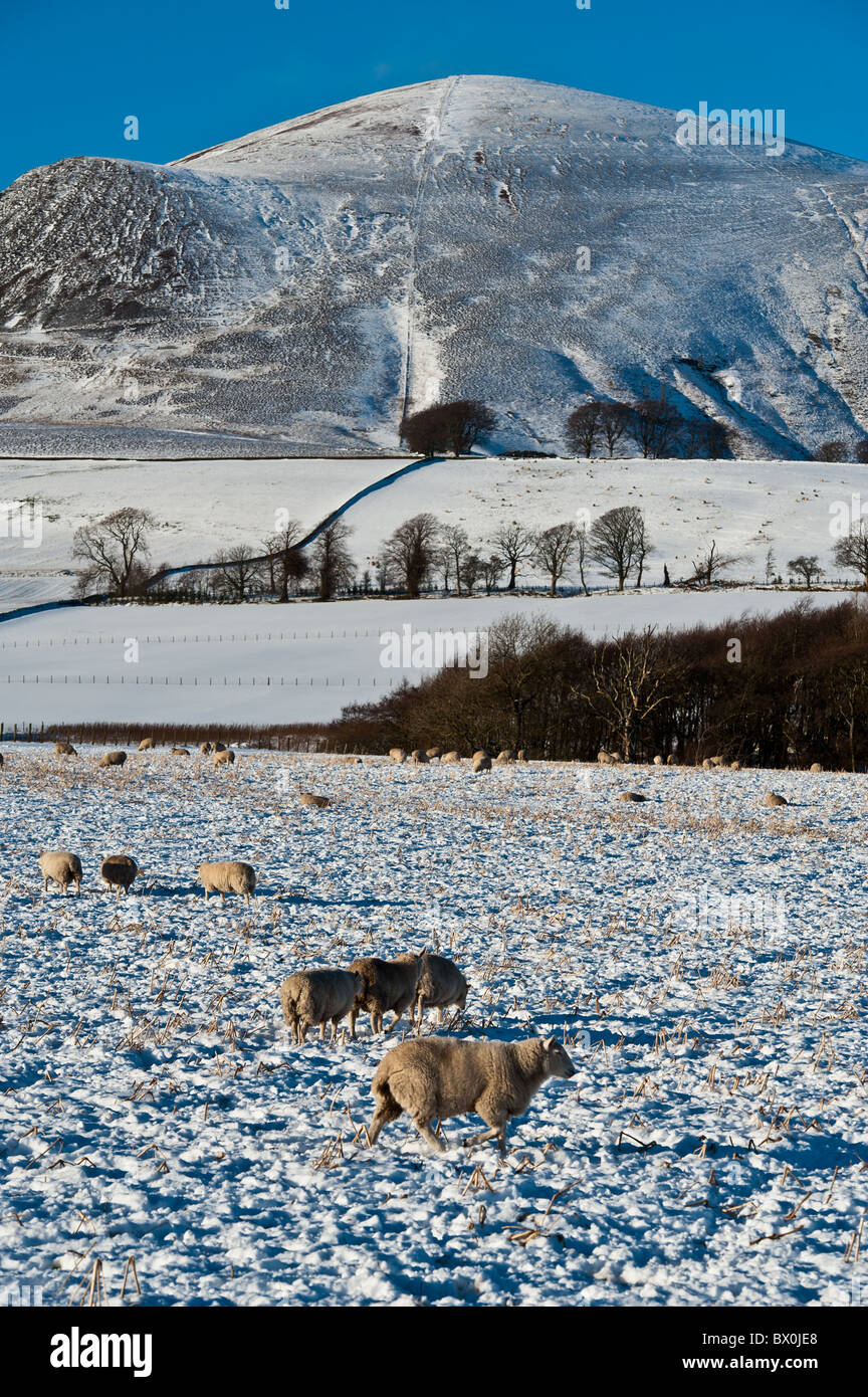 Leadhills scotland hi-res stock photography and images - Alamy