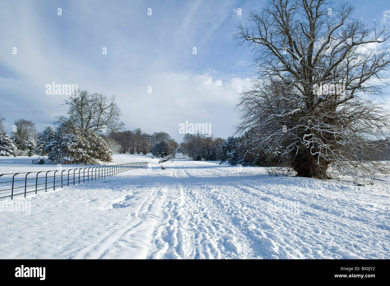Deep snow no trees hi-res stock photography and images - Alamy