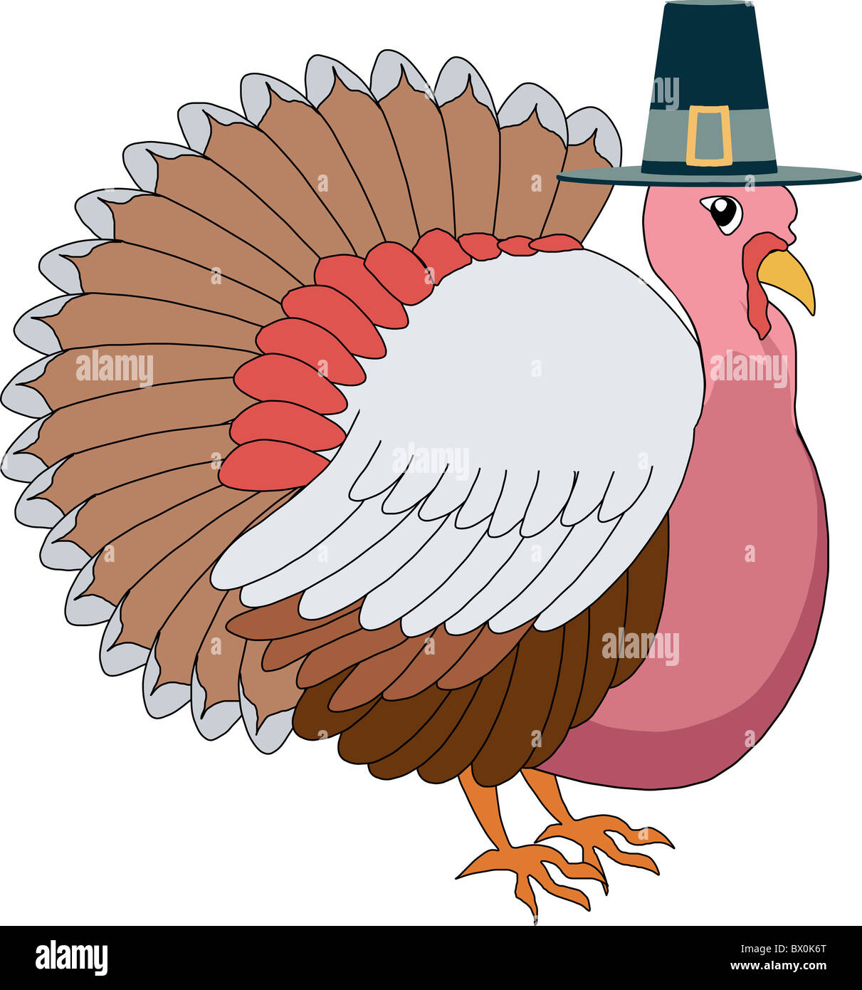 Vector illustration of a Turkey Pilgrim with hat Stock Photo - Alamy
