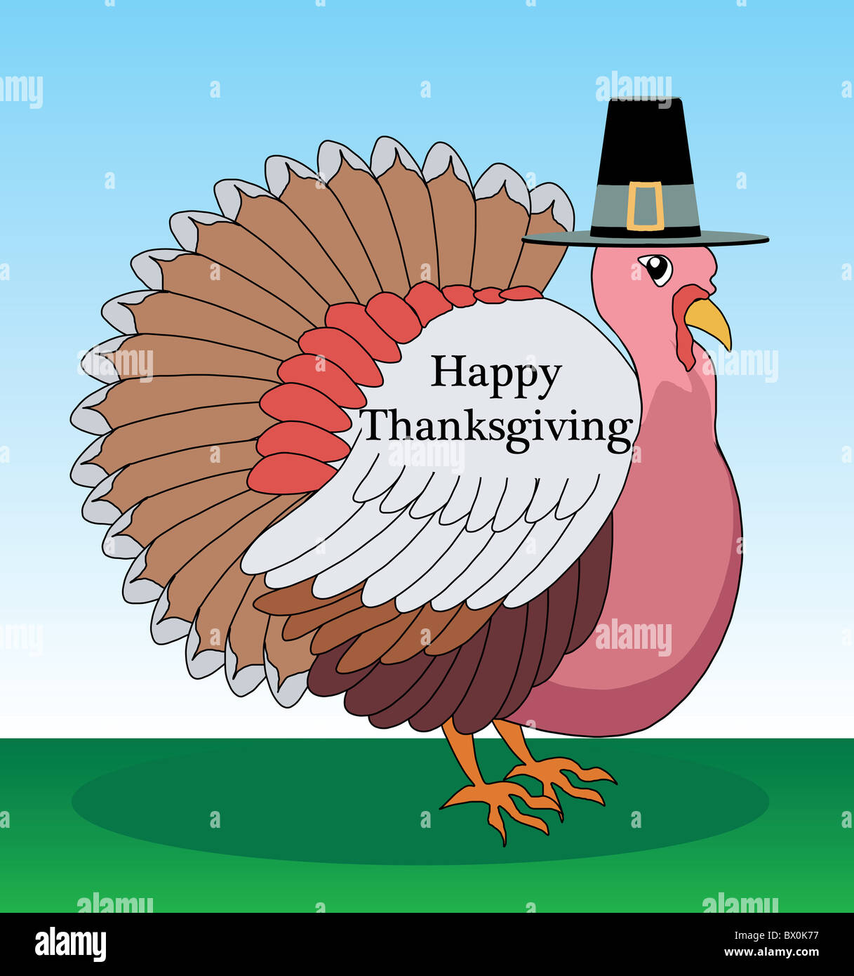 Vector illustration of a Turkey Pilgrim outside with hat Stock Photo ...