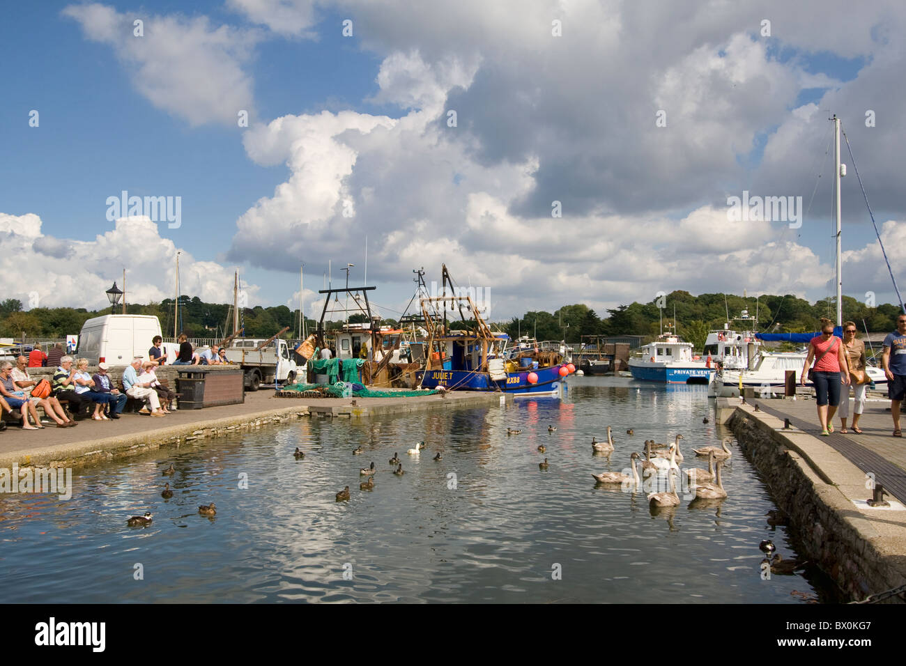 Mute Swans and fishing boats Lymington, Dorset, UK Stock Photo - Alamy Mute Swans and fishing boats Lymington, Dorset, UK Stock Photo - Alamy