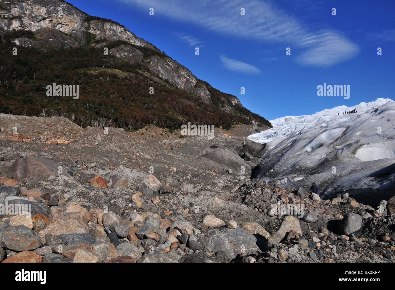 Ground moraine at the dirty sides of the Perito Moreno Glacier, in ...