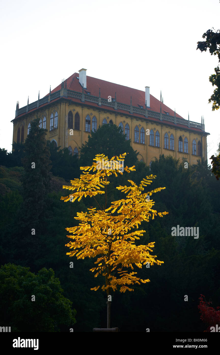 Stromovka hi-res stock photography and images - Alamy