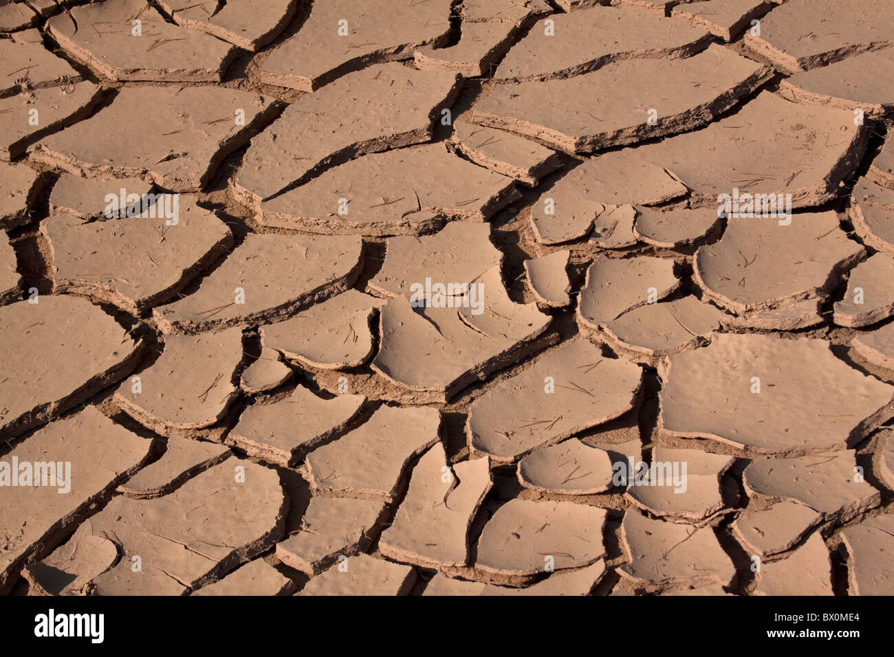 Cracked mud pattern Southeastern United States Stock Photo - Alamy