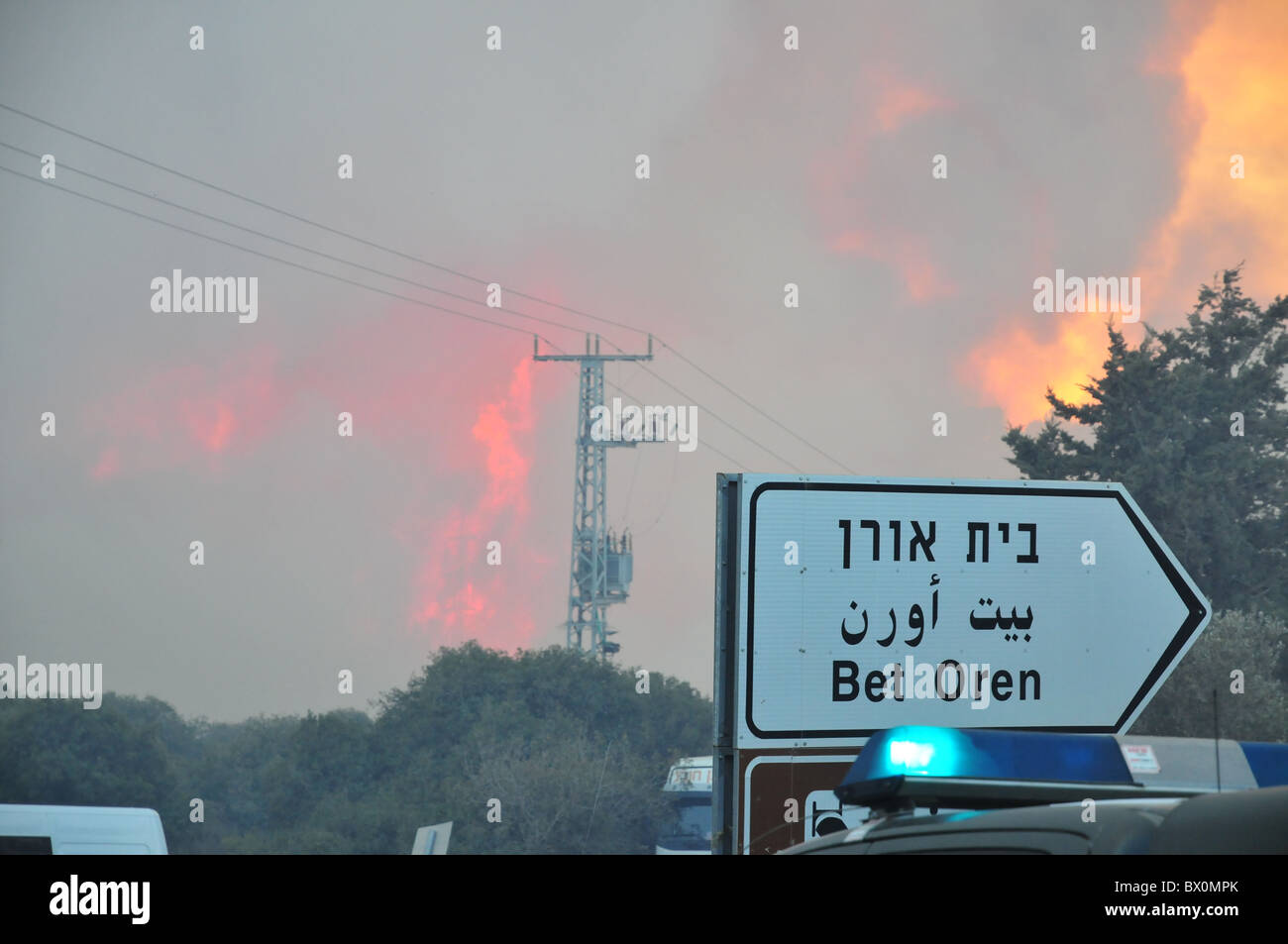 Israel, Mount Carmel, Bet Oren, after the huge forest fire Stock Photo ...