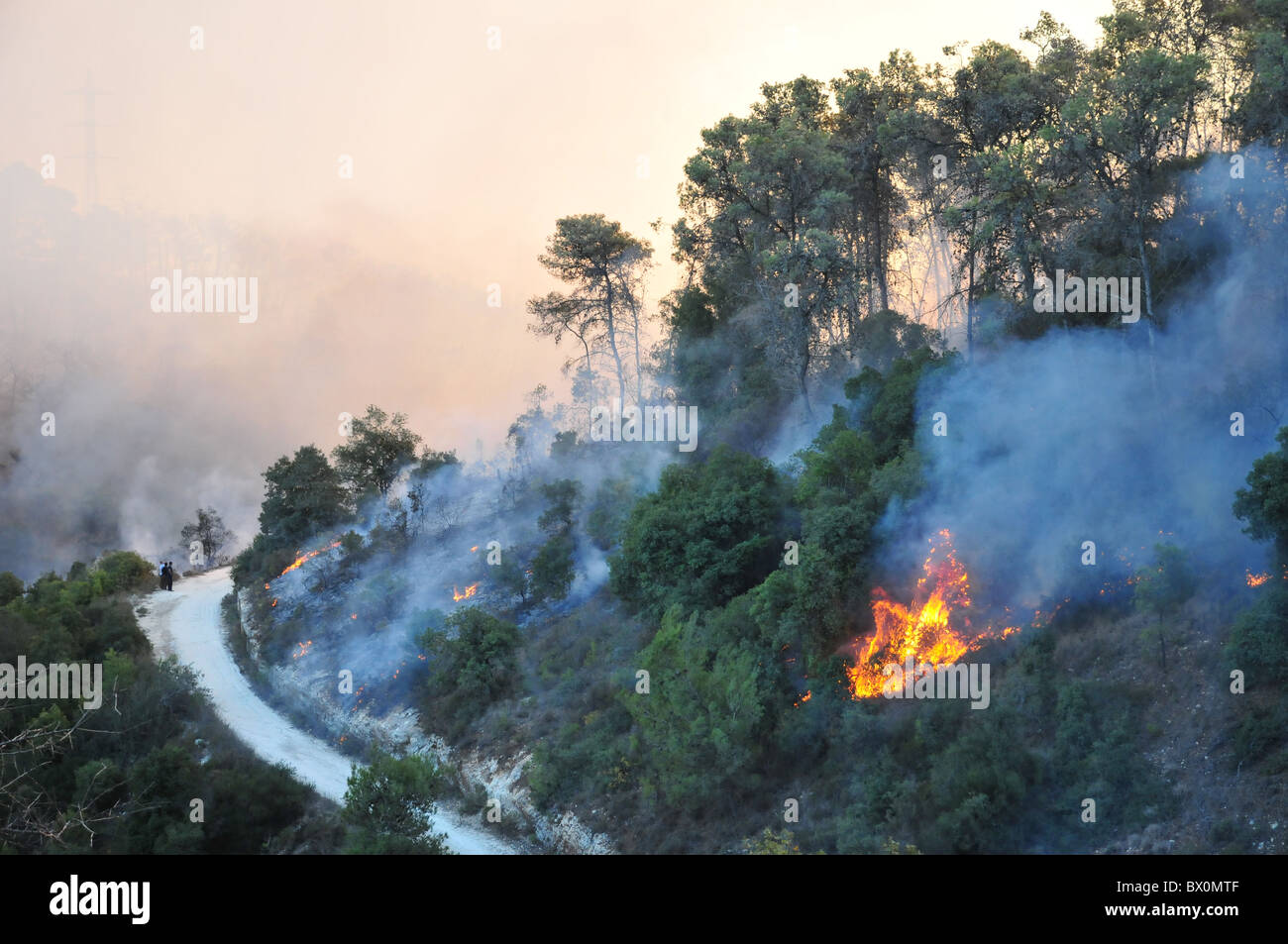 Huge forest fire rages on the Carmel Mountain South of Haifa Israel ...