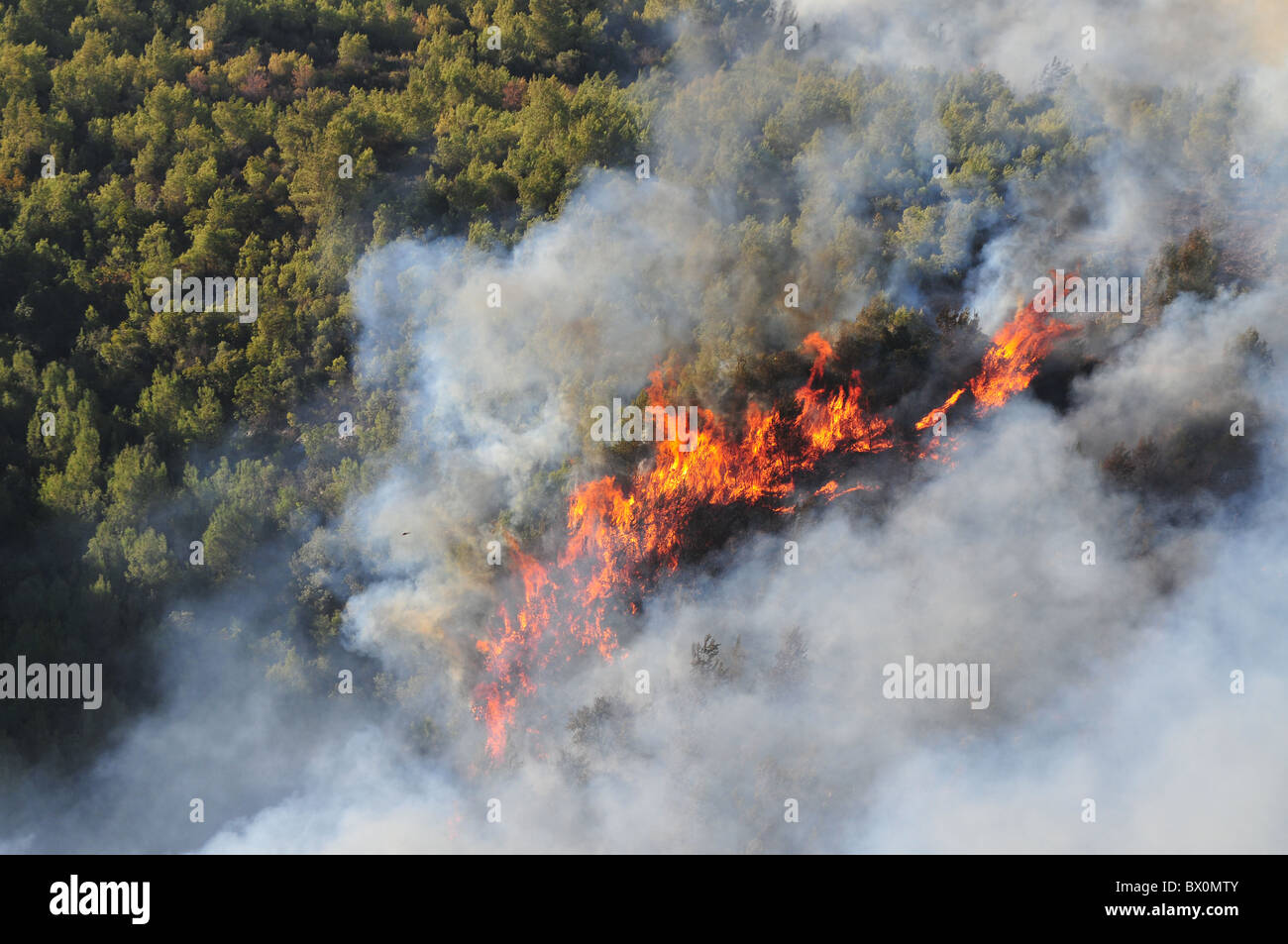 Huge forest fire rages on the Carmel Mountain South of Haifa Israel ...
