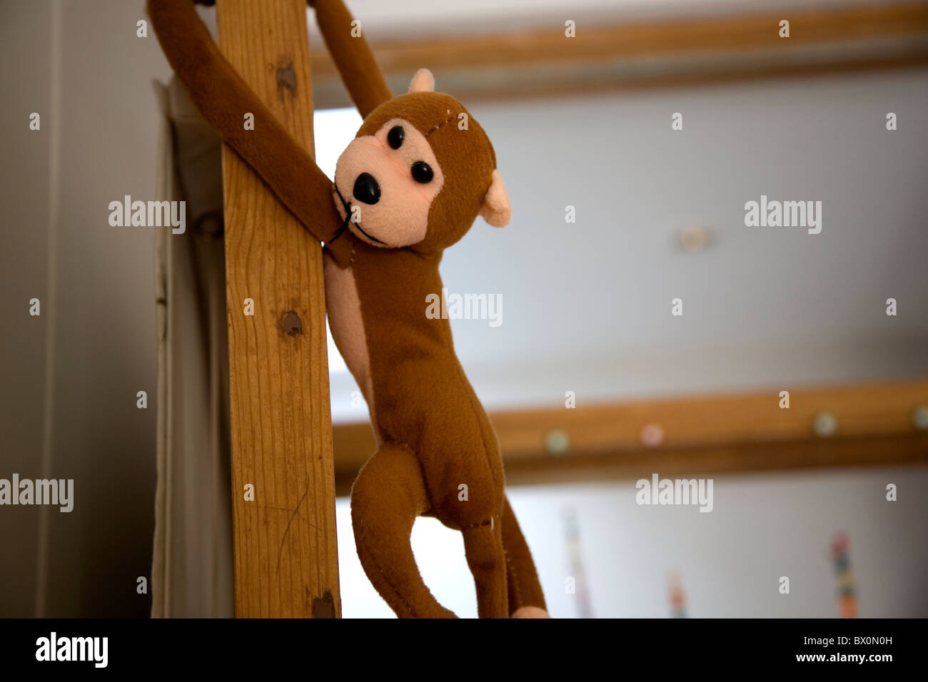 Soft Toy Monkey Stock Photo - Alamy