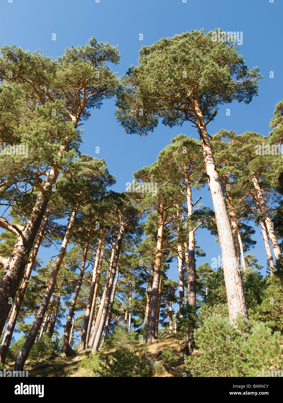 Santiago sierra hi-res stock photography and images - Alamy