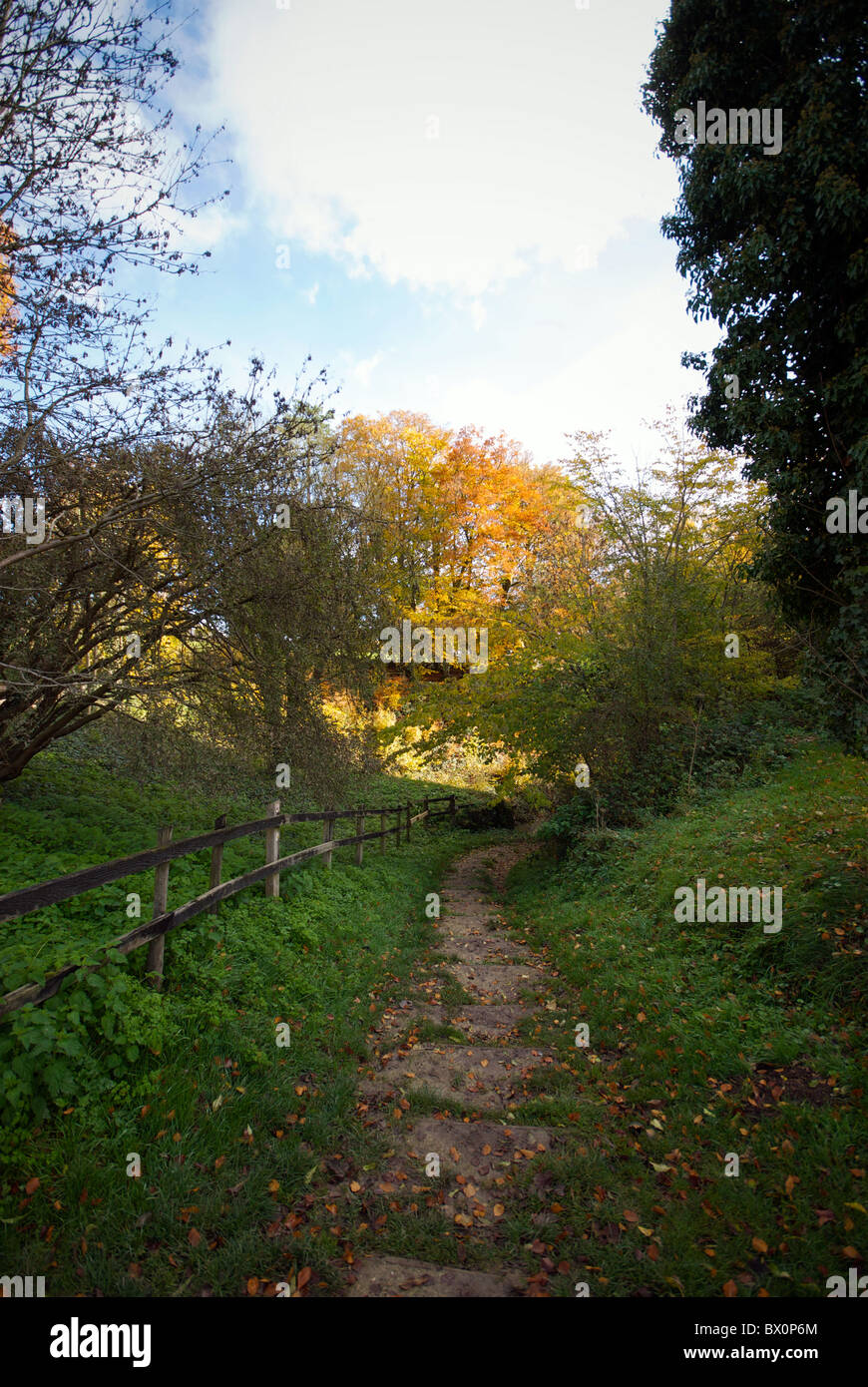 Sapperton Tunnel Coates Gloucestershire UK Cotswold Canal Portal Stock ...